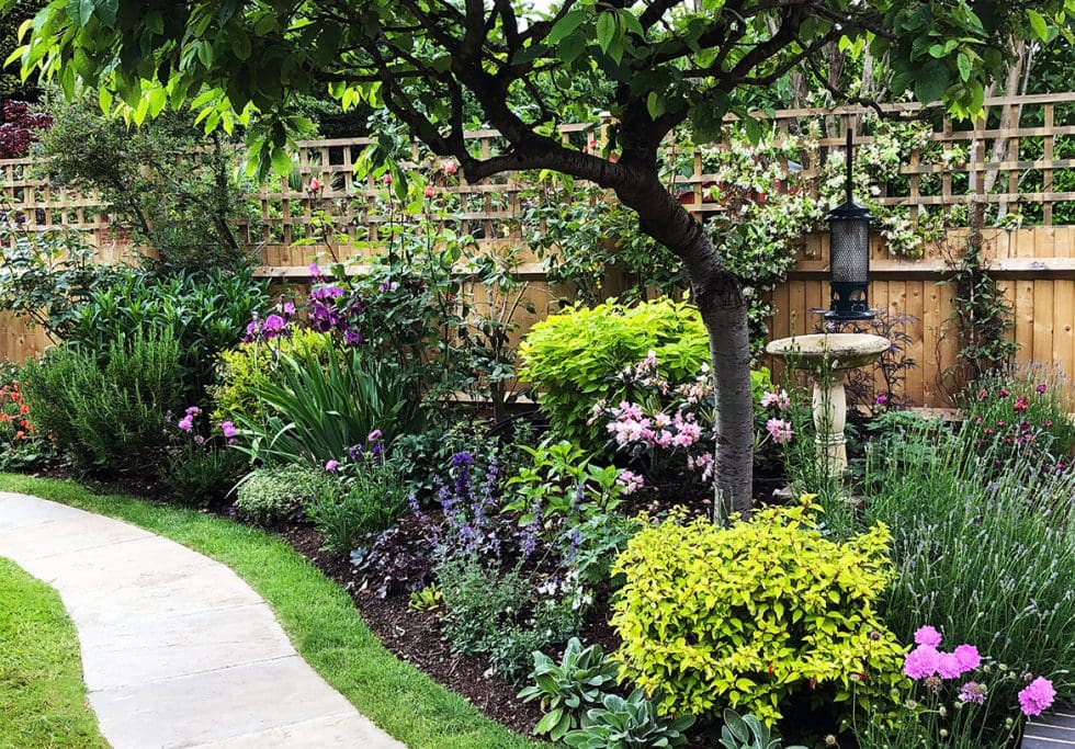 Before and After - Garden Transformations