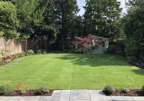 Before and After - Garden Transformations